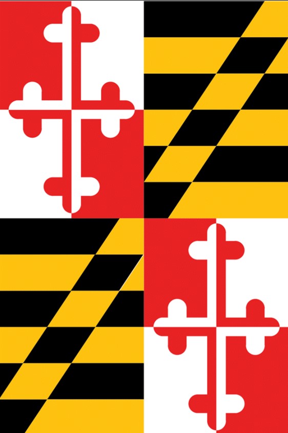 Home Page [kaitlyn019.github.io]